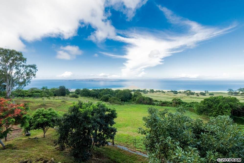 620 Kini Dr #A Kula, HI 96790 MLS #384844