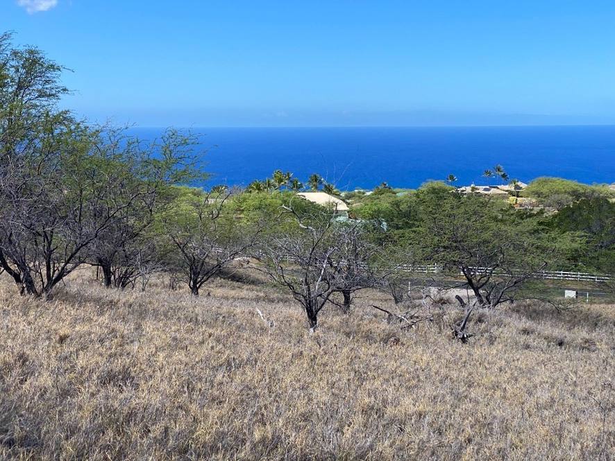 59-190 Mala Place KAMUELA, HI 96743 MLS #647614