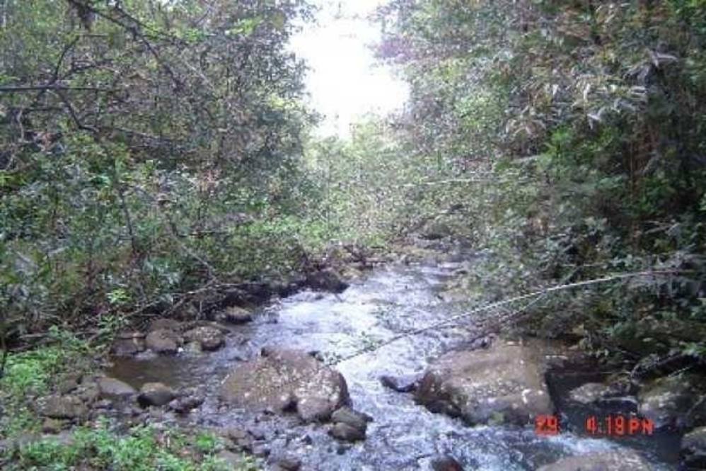 32-460 WAILELE ROAD PAPAALOA, HI 96780 MLS #654215