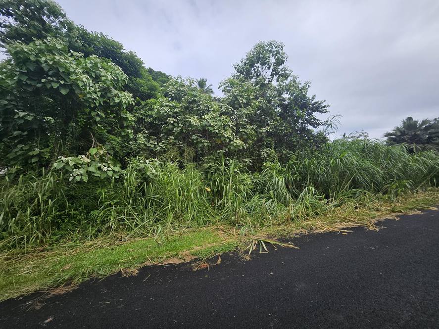 Hawaii Real Estate - Homes, Condos, Land | Hawaii Life | 9662 Listings