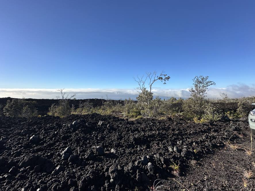 Hawaii Real Estate - Homes, Condos, Land | Hawaii Life | 10000 Listings