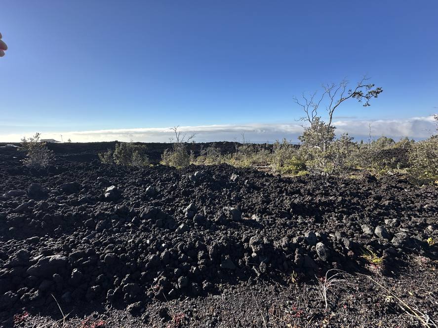Hawaii Real Estate - Homes, Condos, Land | Hawaii Life | 10000 Listings